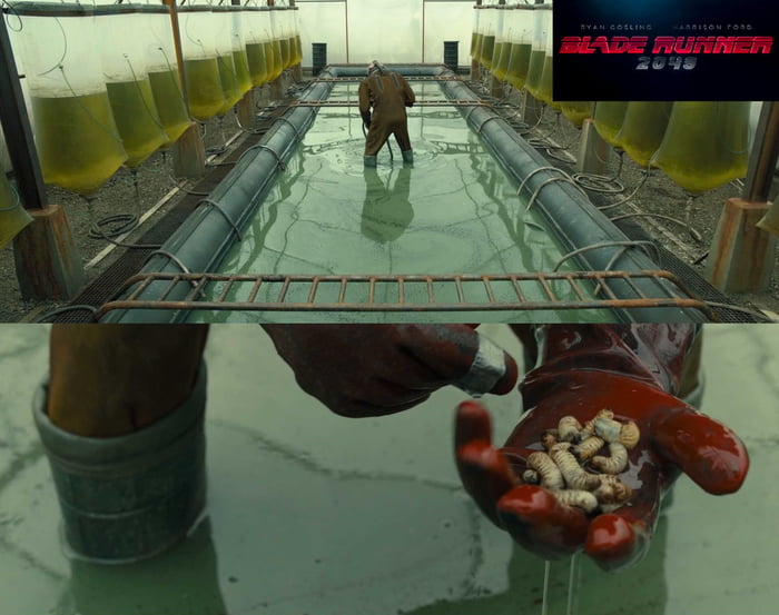 Opening shots of Blade Runner 2049. "You'll own nothing and you'll eat ...