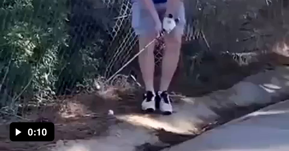 Tasked failed successfully - 9GAG