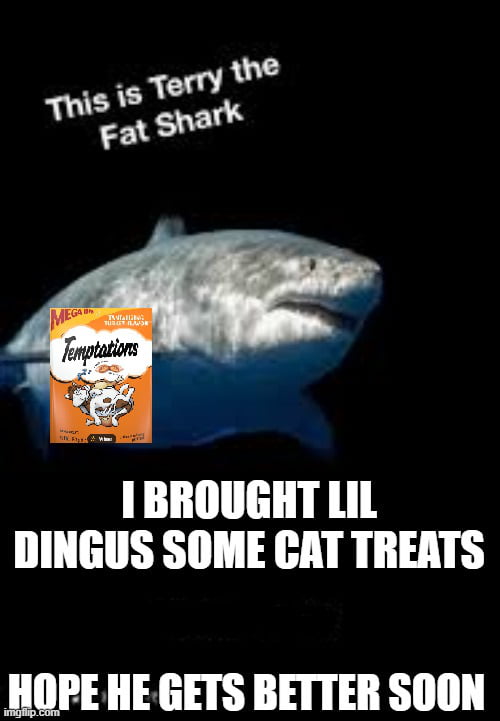 Get well Lil Dingus - 9GAG