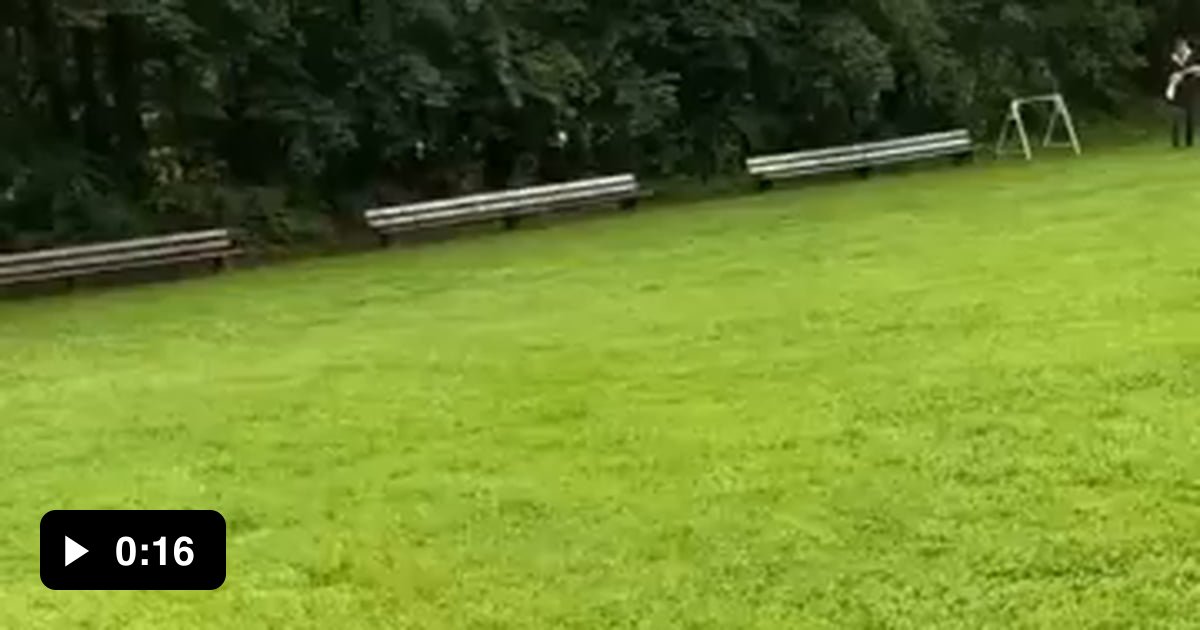 The proper way to throw a boomerang - 9GAG