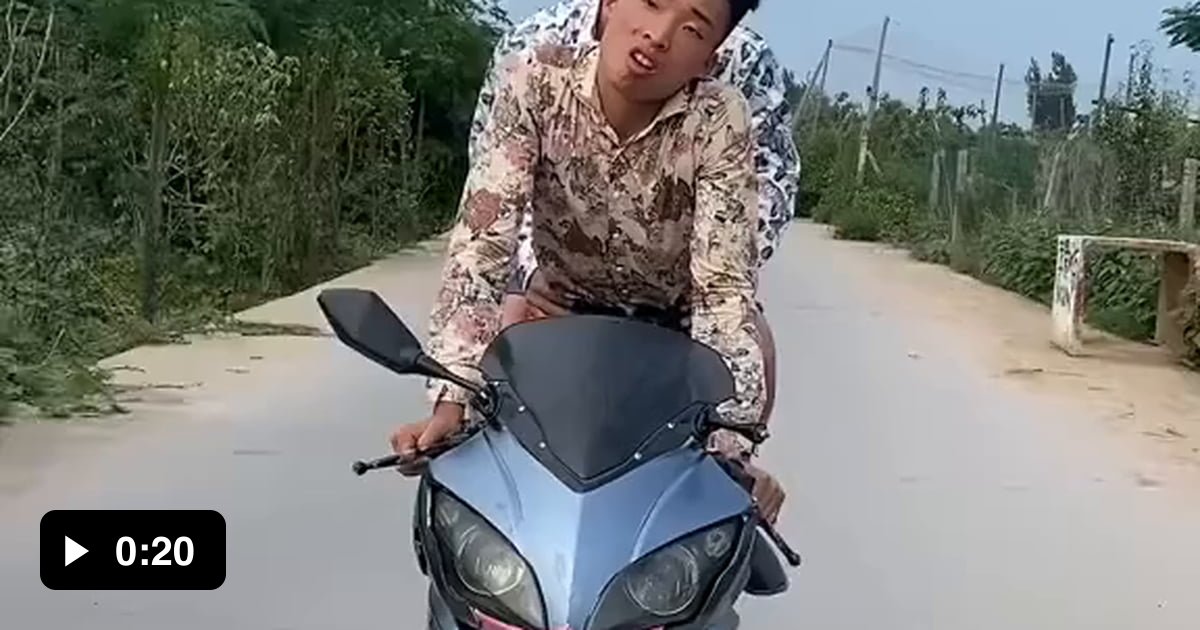 Very alert and handsome - 9GAG