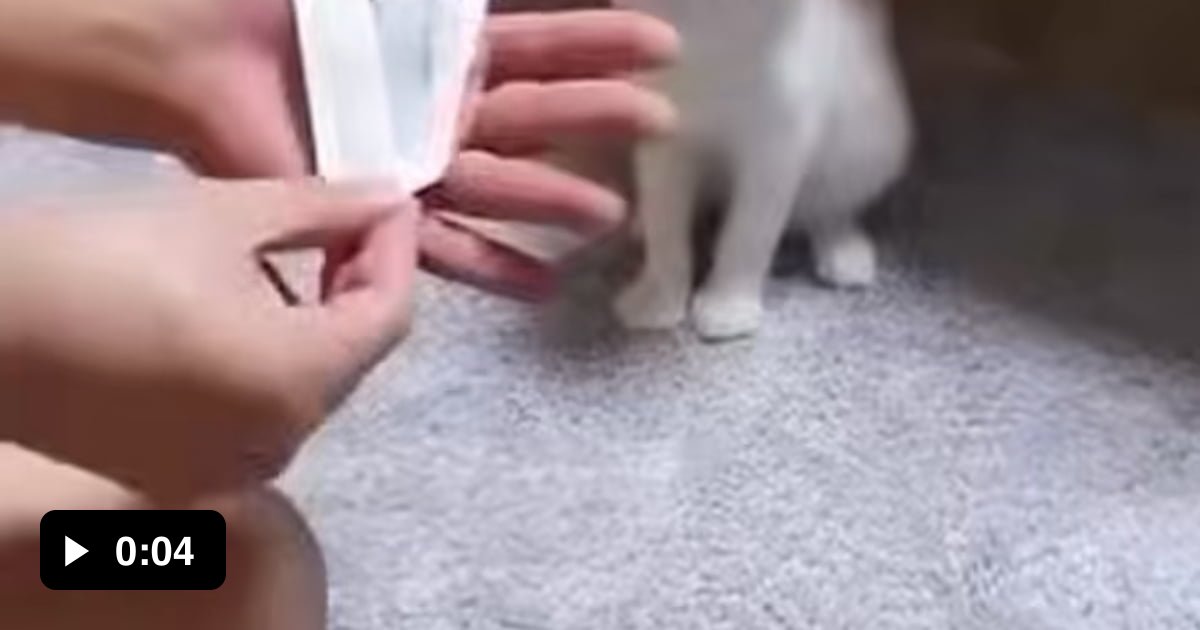 Burn the witch. - 9GAG