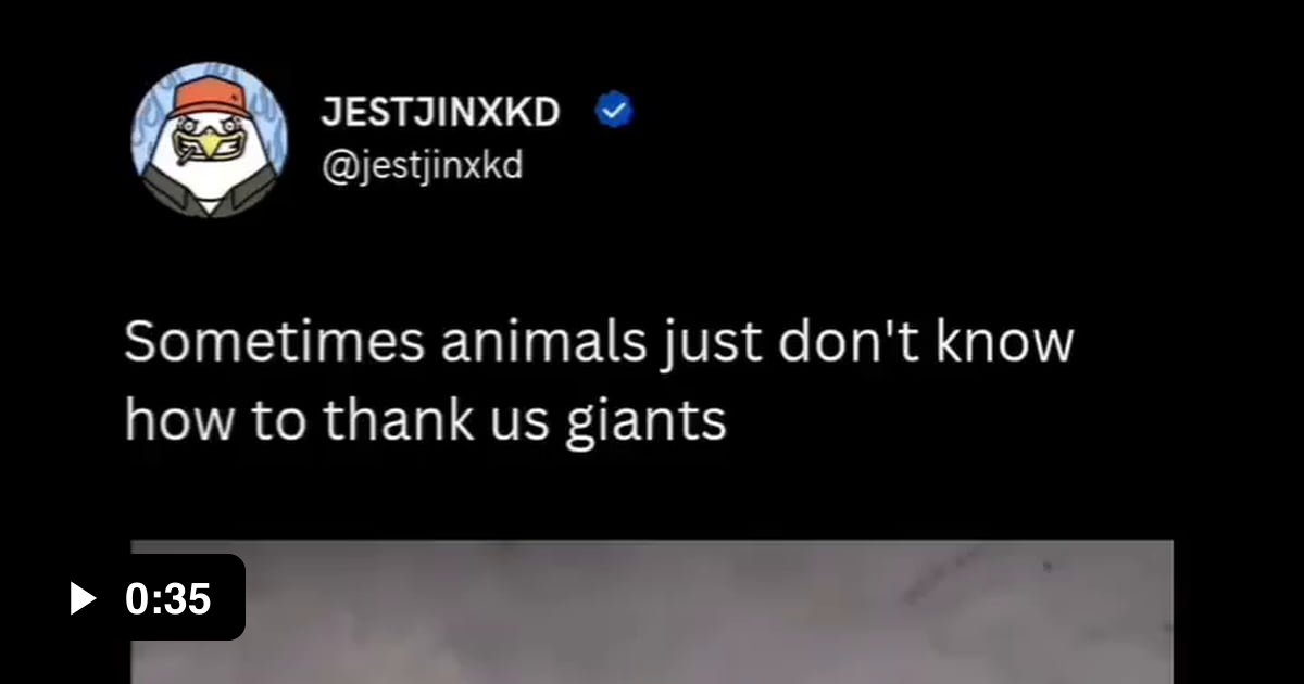 Man returns baby monkey to mama - 9GAG