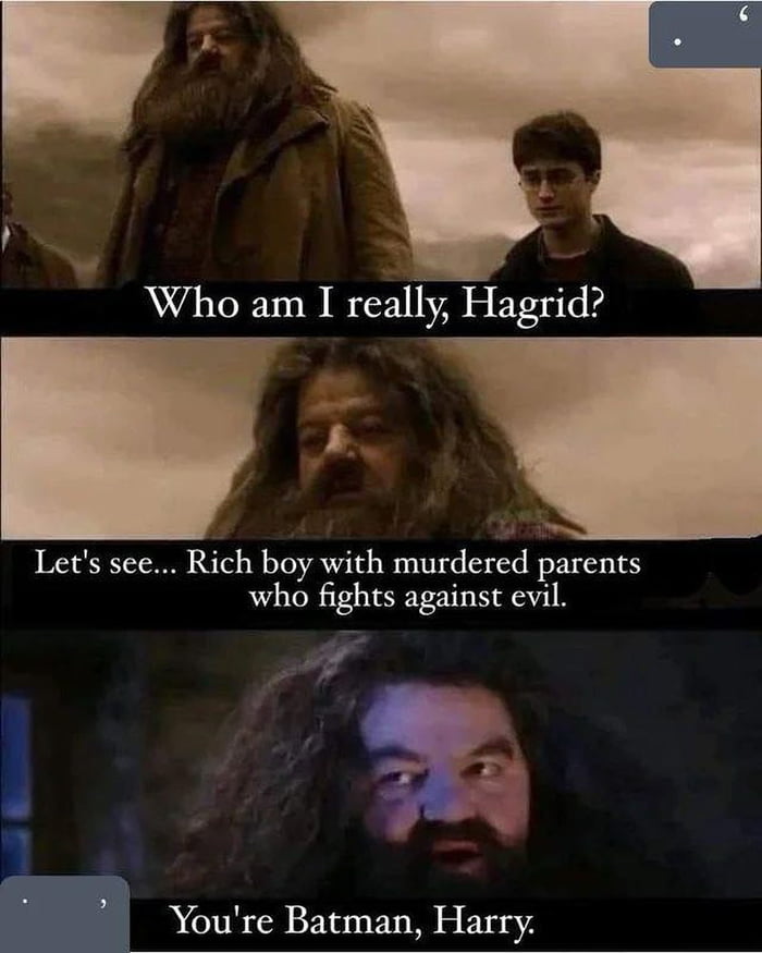 Diddly Diddler, who is the Riddler - 9GAG