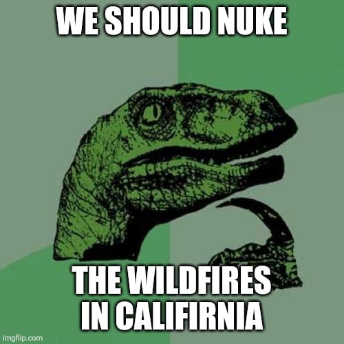 Nukes are 10000F while forest fires are 1000F. They will burn out the ...