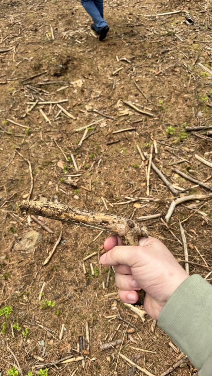 This stick just made my day - 9GAG