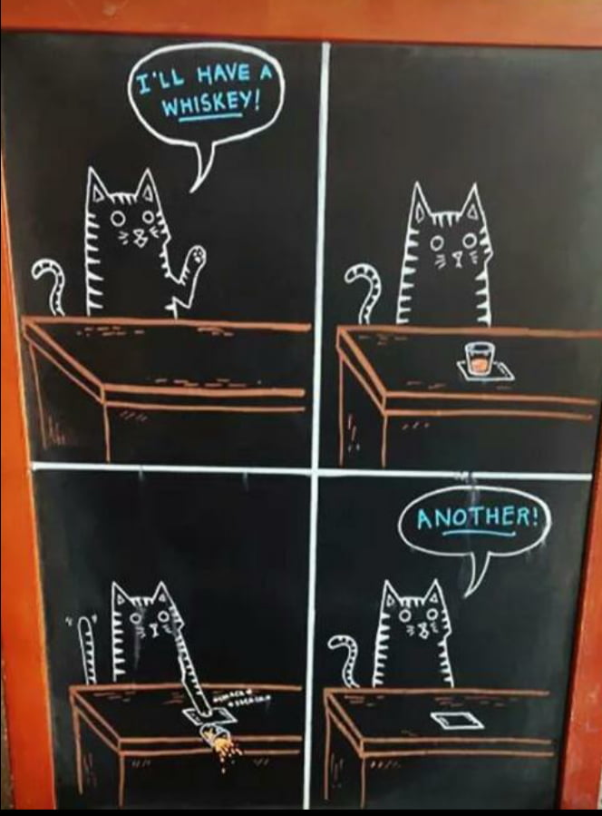 Meow - 9GAG