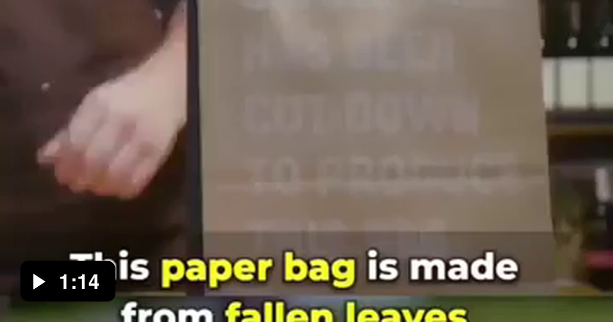 Releaf Paper & Bags turns fallen leaves into eco-friendly paper, saving 17 trees and reusing 2.5 ...
