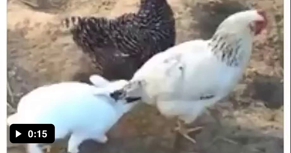 Happy Easter, MFs how things are going with the Easter eggs - 9GAG