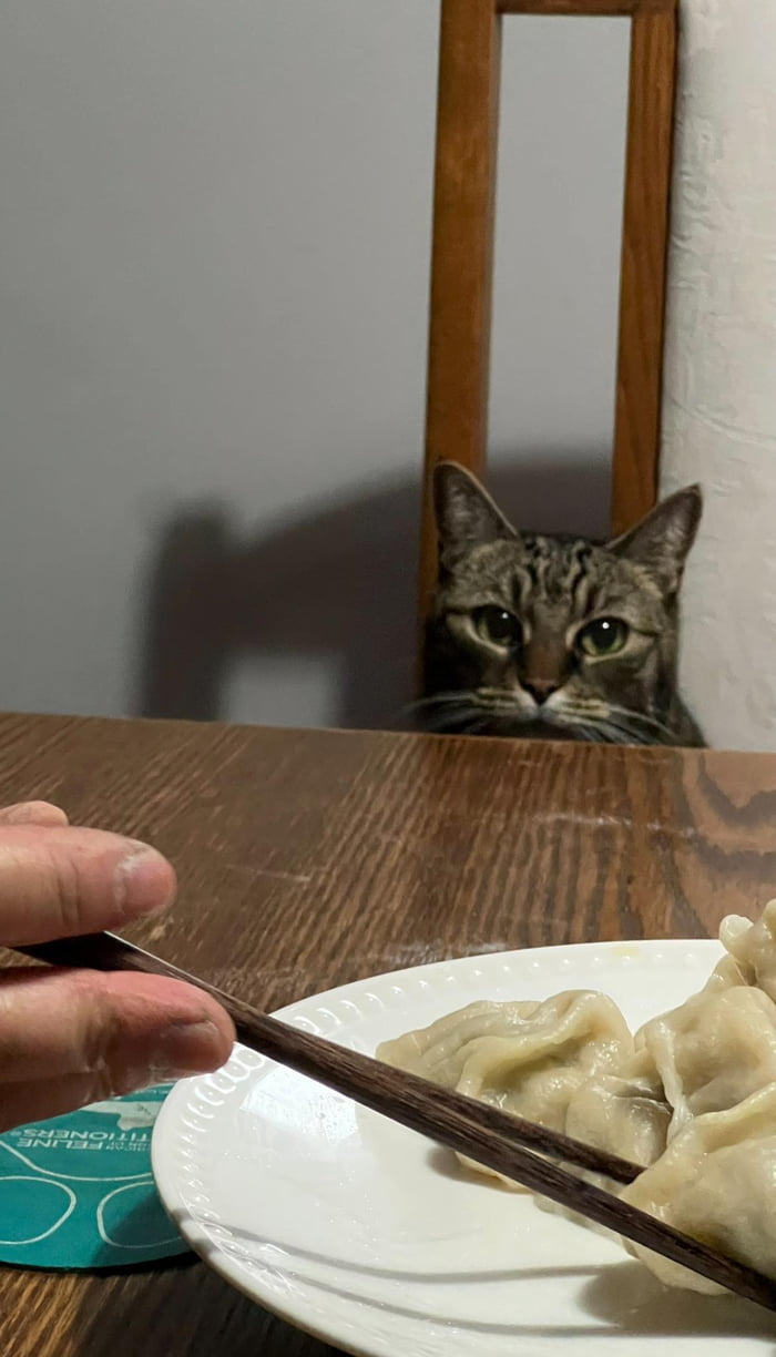 Food guard, and sometimes food tasters - 9GAG