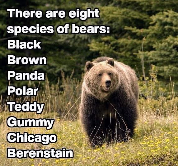 Gummy bears are my favorite - 9GAG