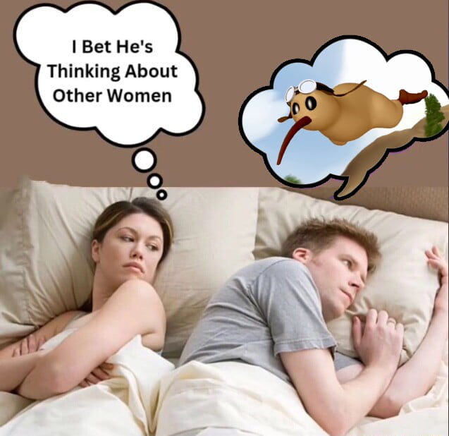 I can't stop thinking about this fluffy fella - 9GAG