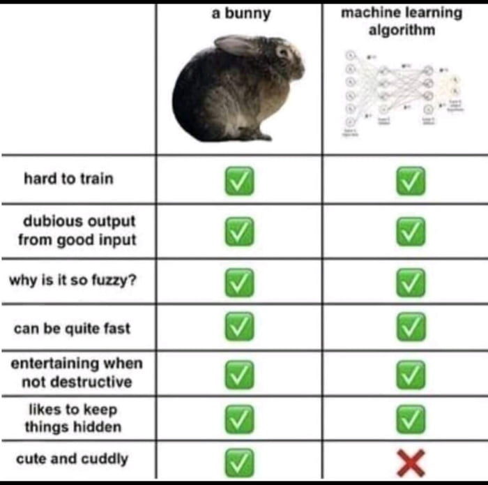 Bunny vs AI - 9GAG