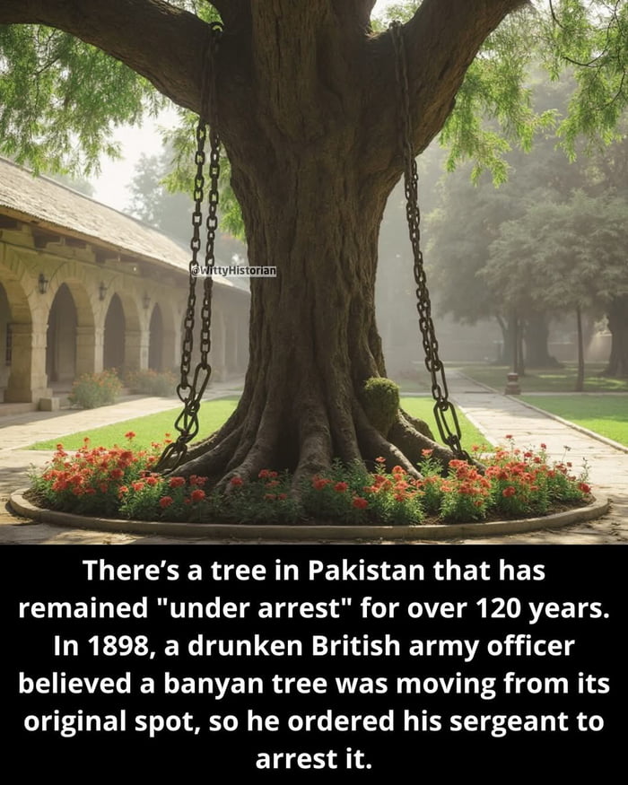 Drunk British - 9GAG