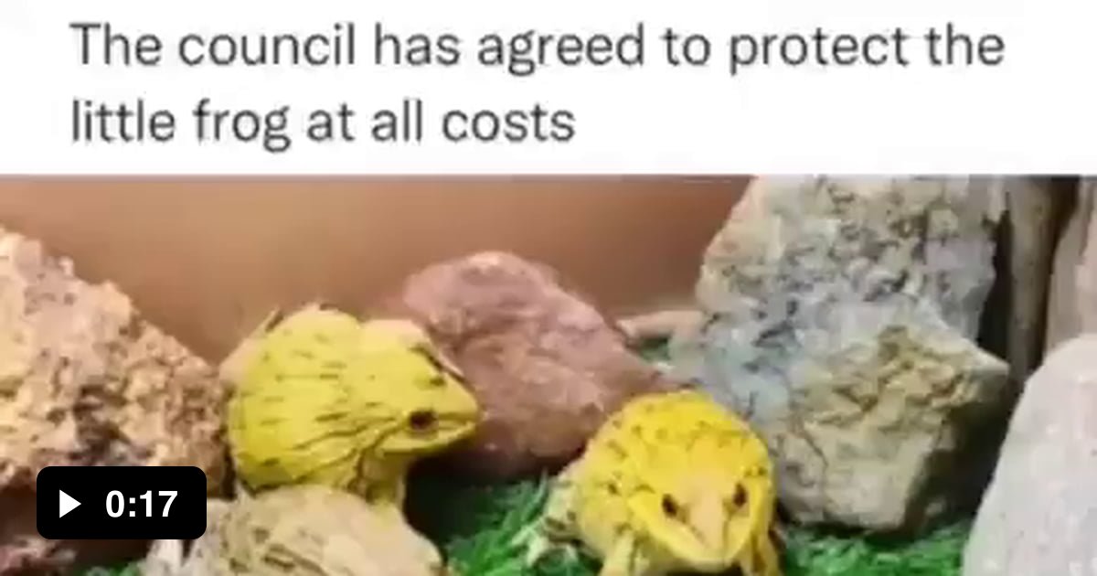 Obligatory Wednesday Post. THE COUNCIL OF FROGS. - 9GAG