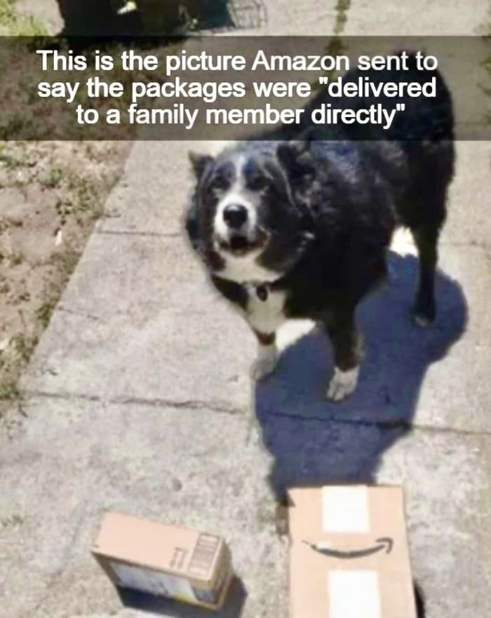 My cat would destry that package - 9GAG