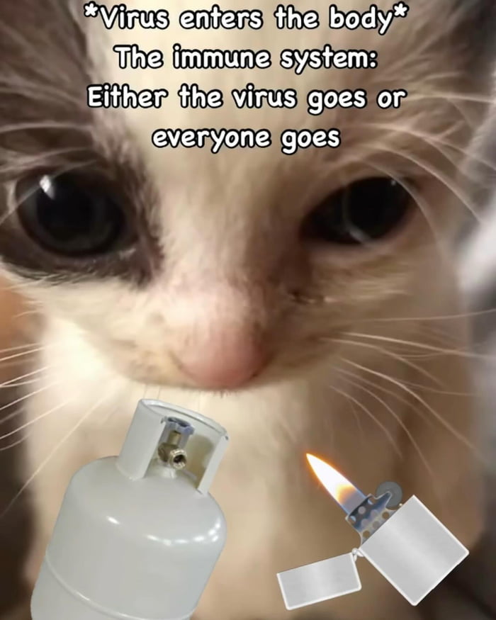 When your immune system decides on a scorched earth policy - 9GAG