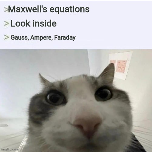 Cat looks inside meme - 9GAG