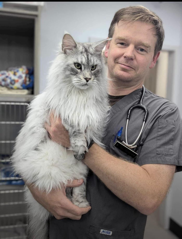 She fully recovered - 9GAG