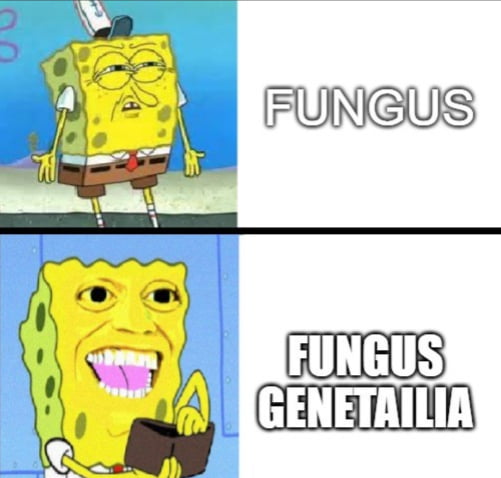 Meme I Made for a Biology Exam - 9GAG