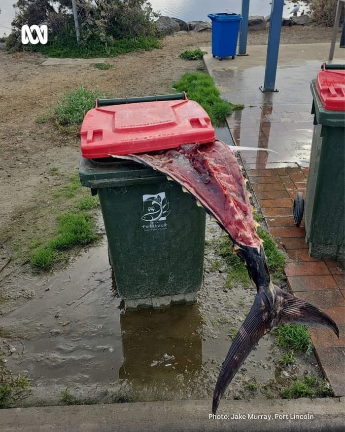 How thoughtful to throw your waste away.. - 9GAG