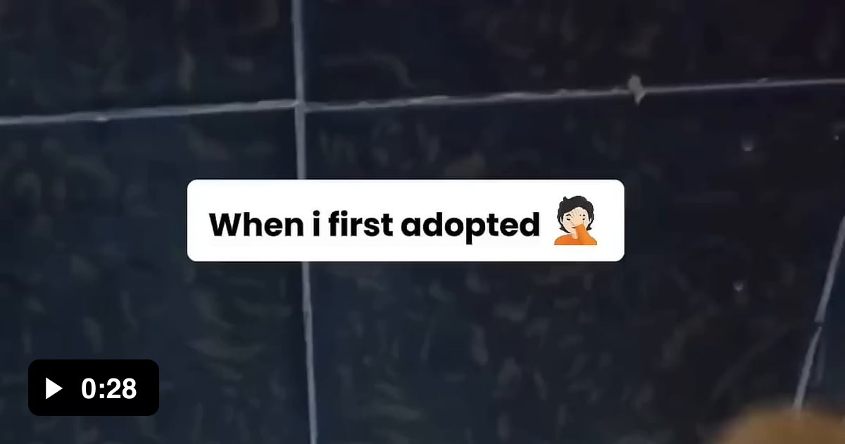 "imma fight for my life, wait.. I am willing to take you as my slave ...