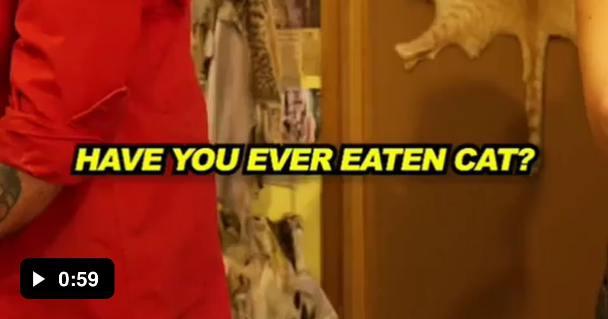 Australian «cat man» home - 9GAG