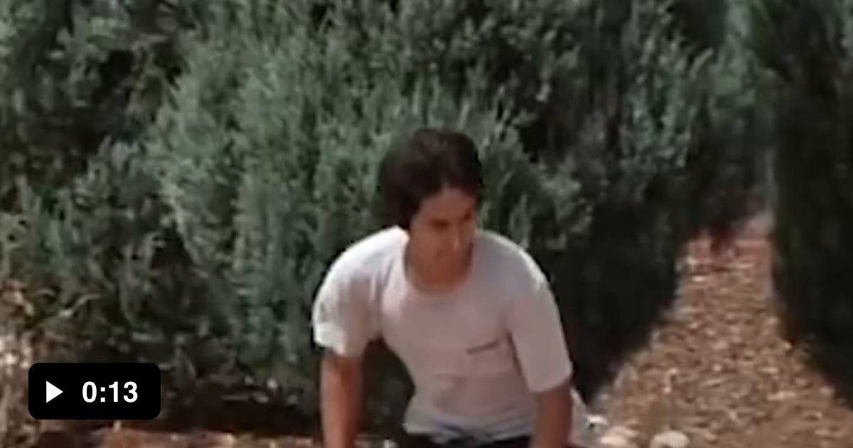 Cleanest kickflip - 9GAG