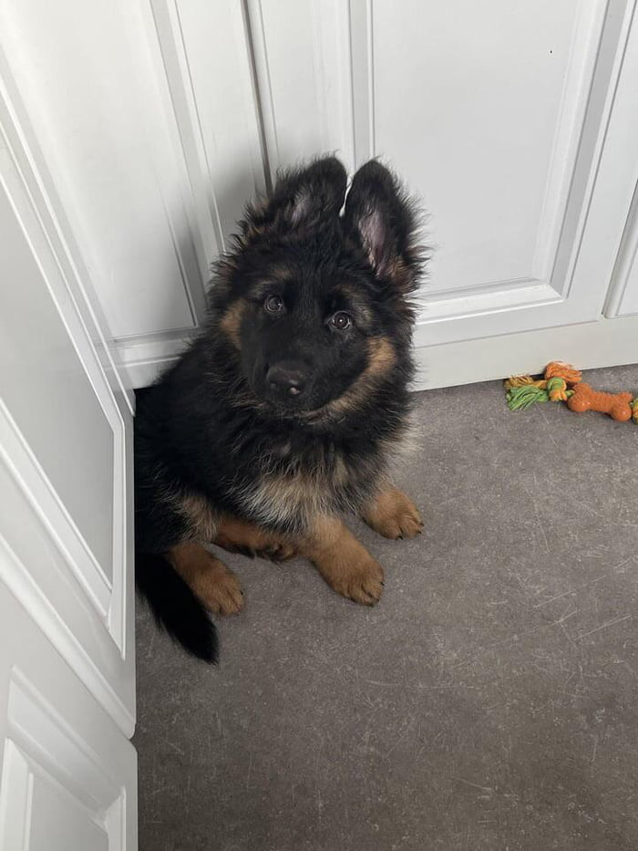 It’s like it’s trying to say something - 9GAG