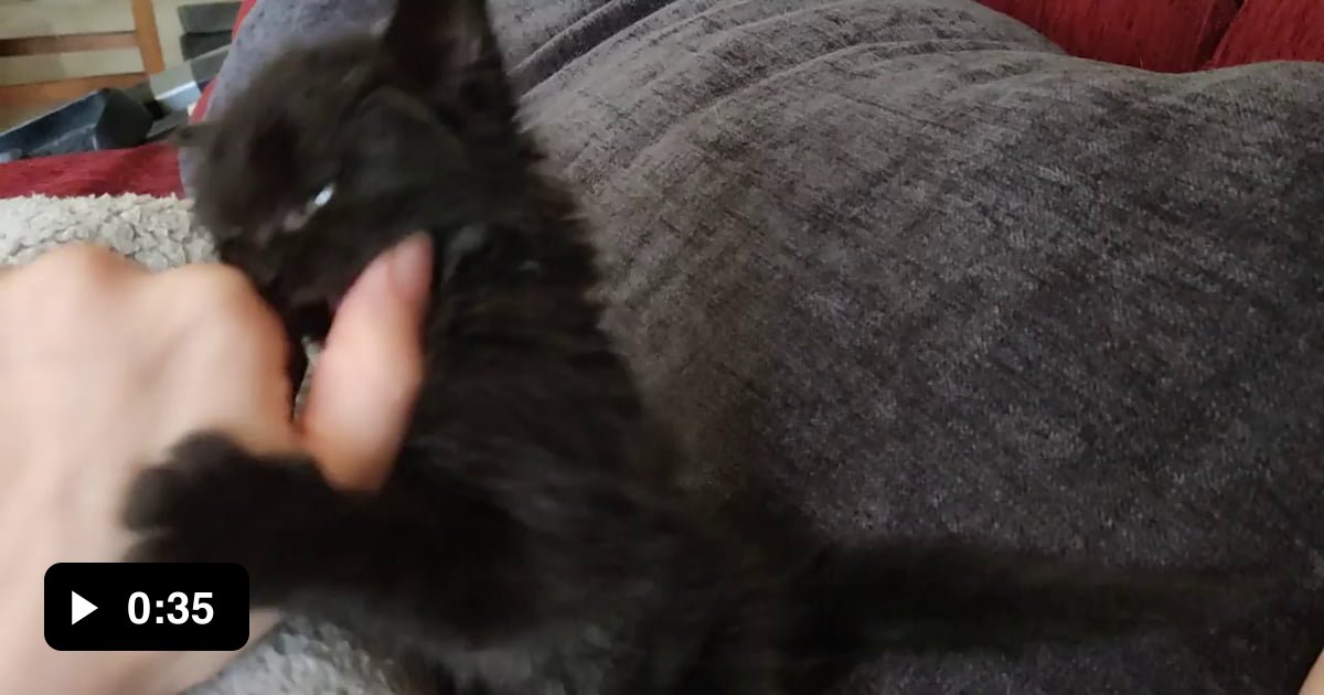 480gr of fluff - 9GAG