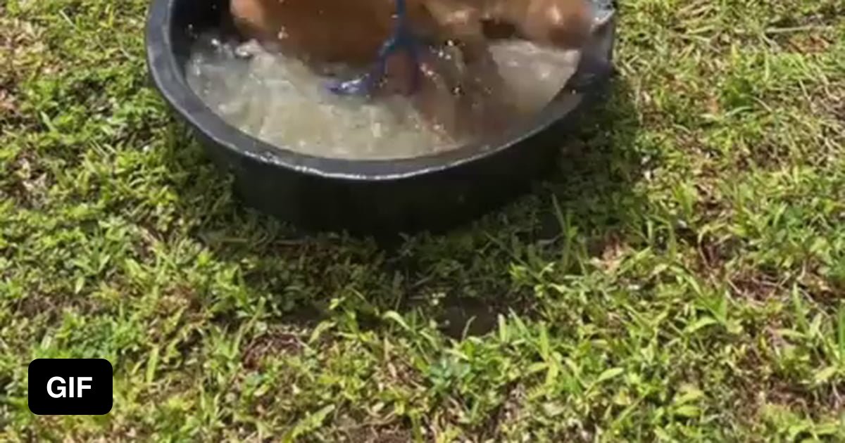 Having fun with the hose - 9GAG