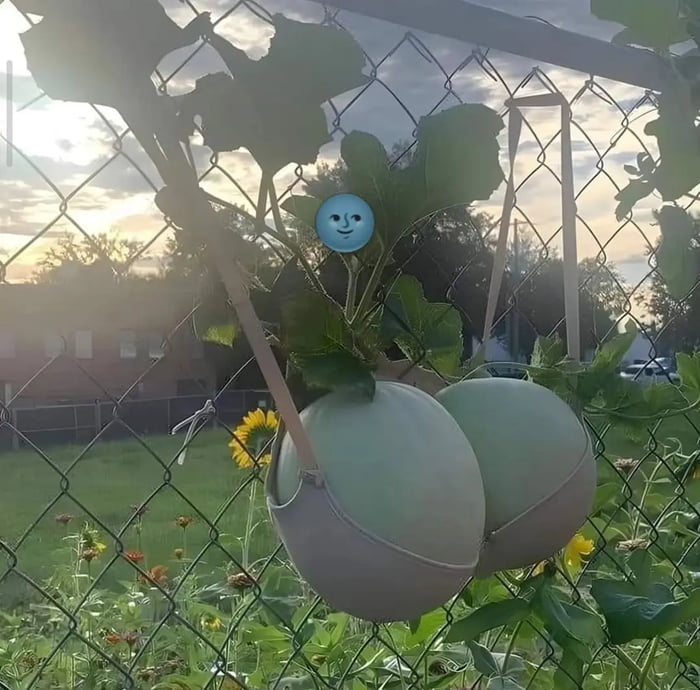Support melons - 9GAG