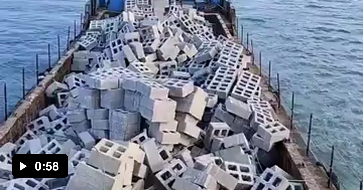 This is how you build a new reef - 9GAG