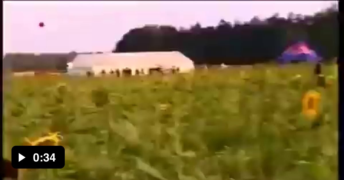 Sunflower guy - 9GAG