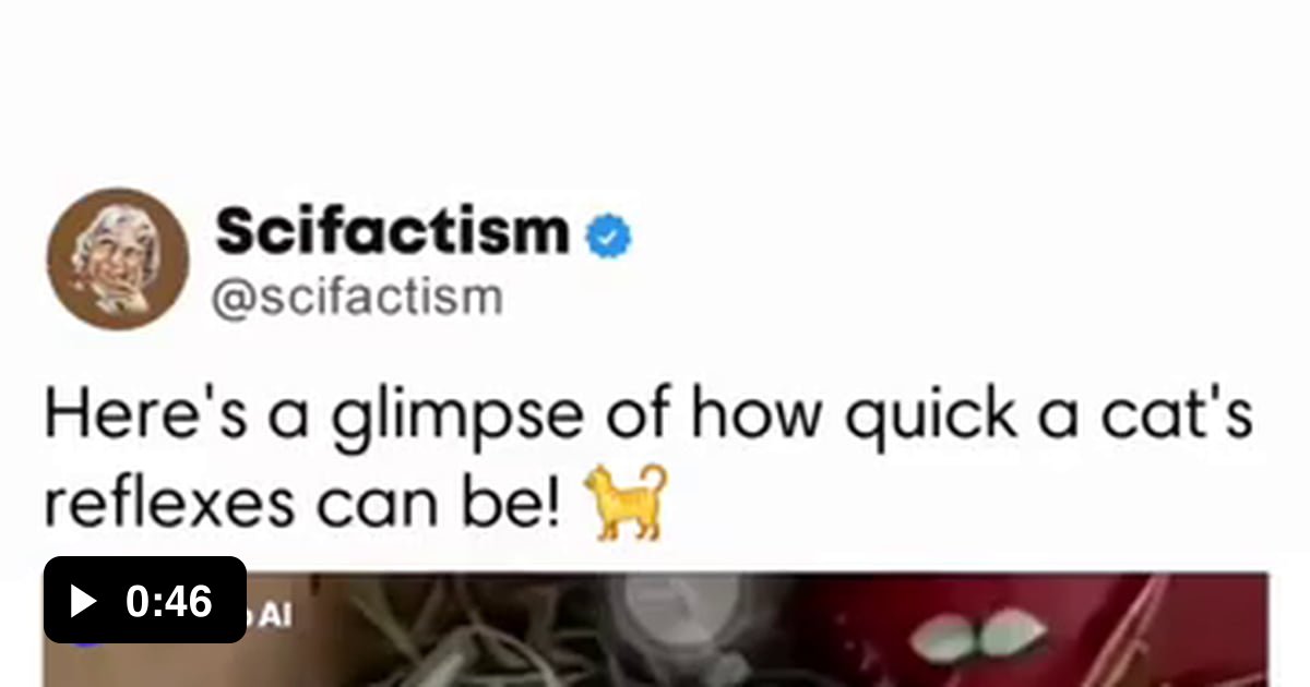How quick a cat’s reflexes can be. - 9GAG