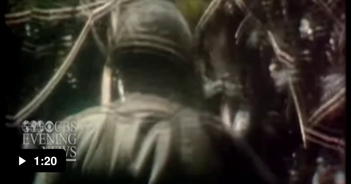 Vietnam 1970, American documentary crew happens to be filming when ...
