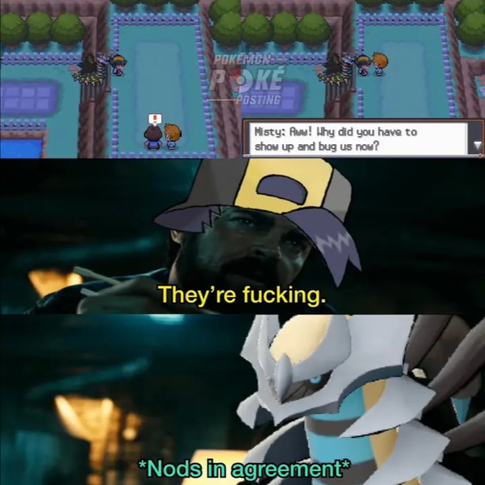 Surely they are - 9GAG