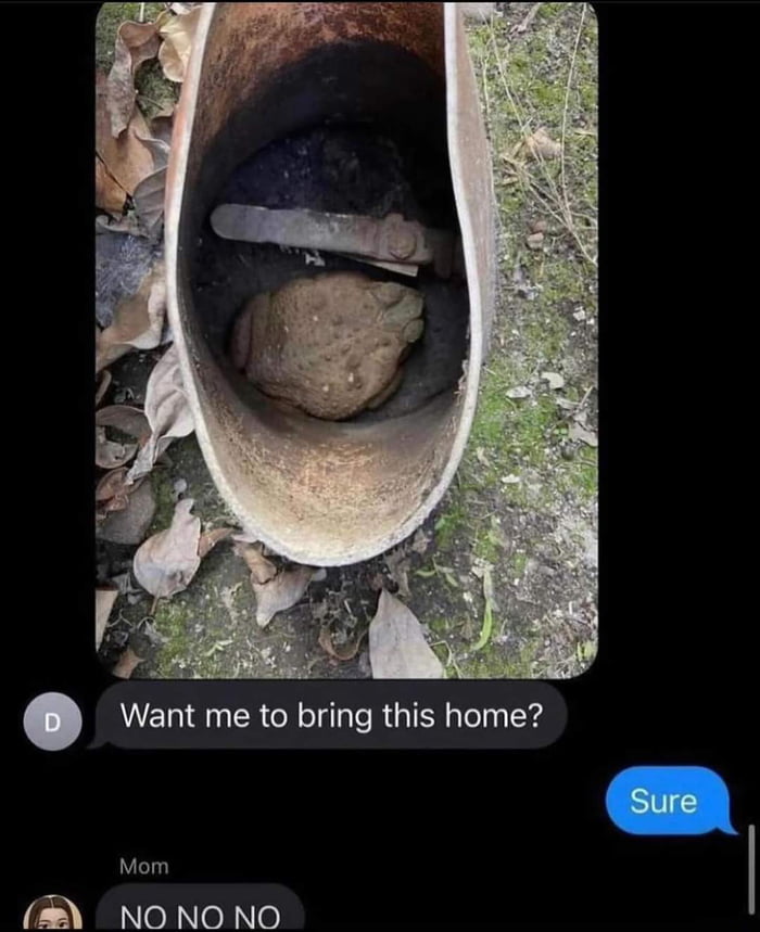 Why not mom? It's fren shaped - 9GAG