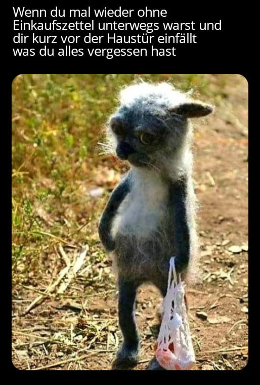 Jedes verdammte Mal! - 9GAG