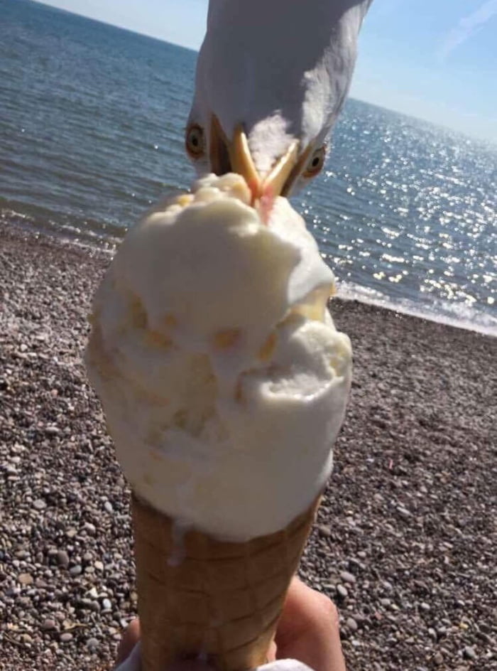 Just wanne say hi - 9GAG