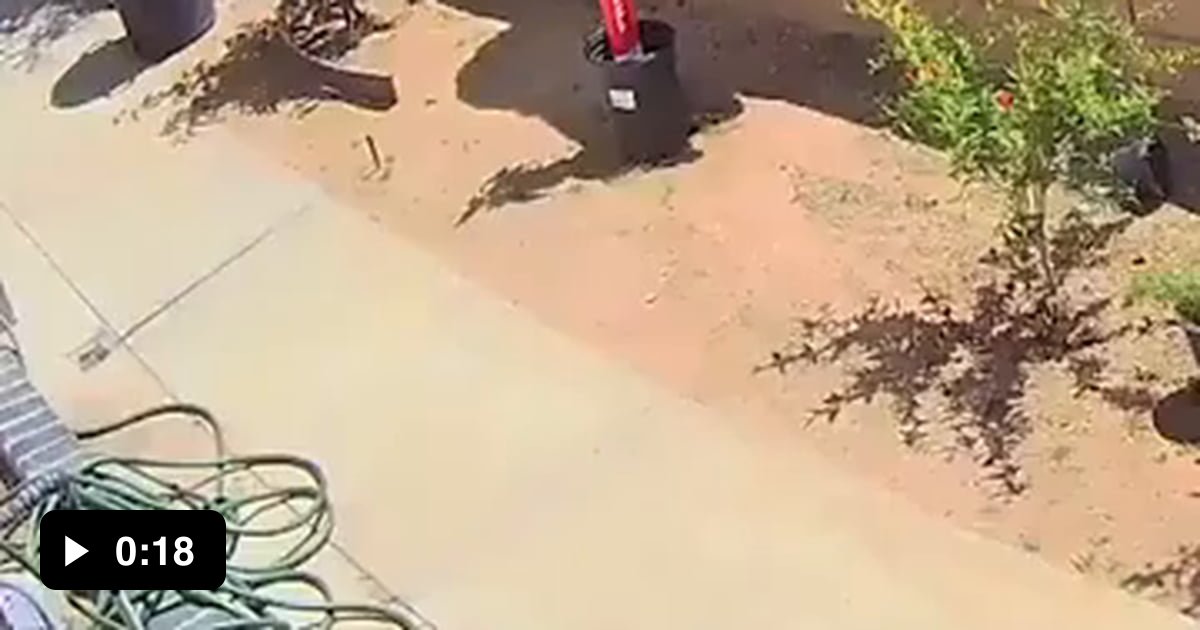 Mom mode: Activate - 9GAG