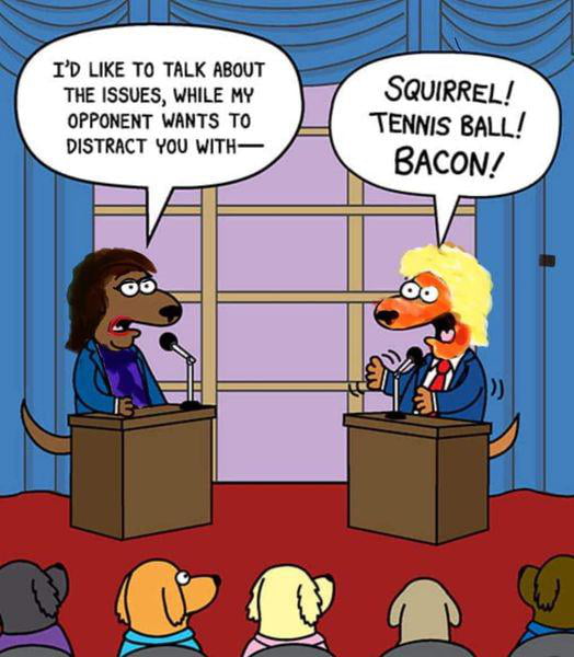 A sharp and focused mind - 9GAG