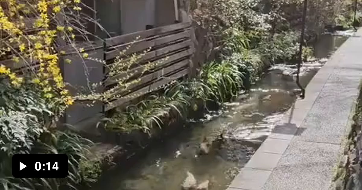 RE: Streets in Japan. (Fixed the sound) - 9GAG