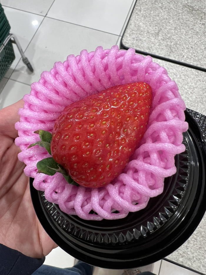 Bought this singular strawberry in Tokyo for approx $7 USD - 9GAG