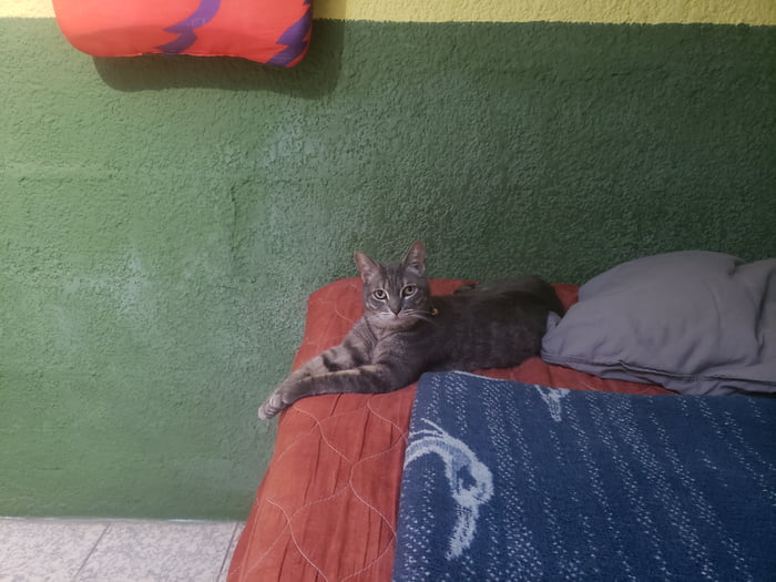 Are you really in charge here? - 9GAG