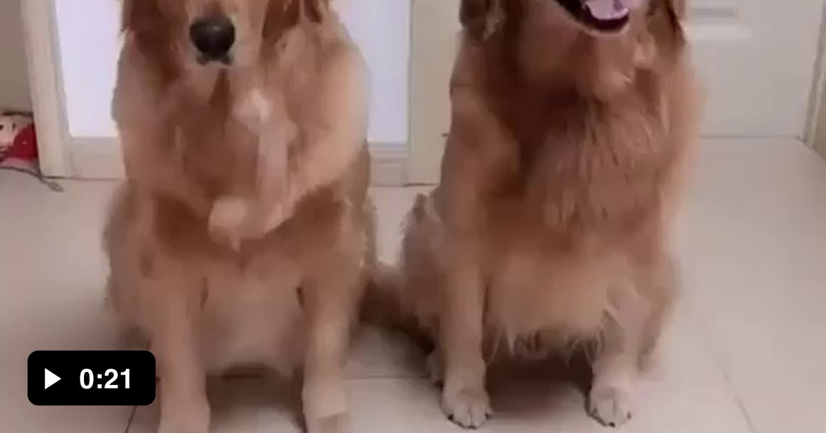 True love is like ghosts, which everyone talks about and few have seen. 🫶 - 9GAG