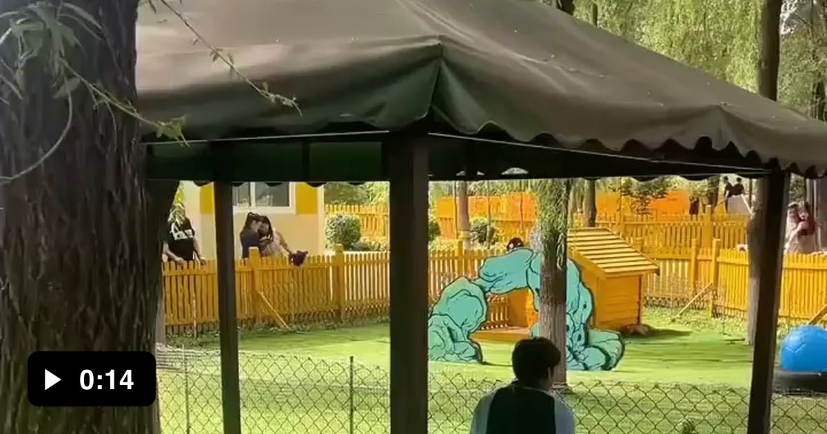 Baby tiger thinks it's a ninja - 9GAG
