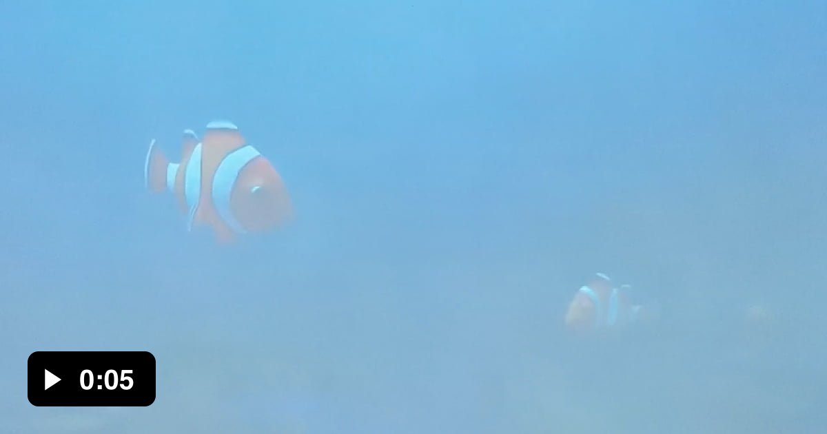 How Finding Nemo actually ended - 9GAG