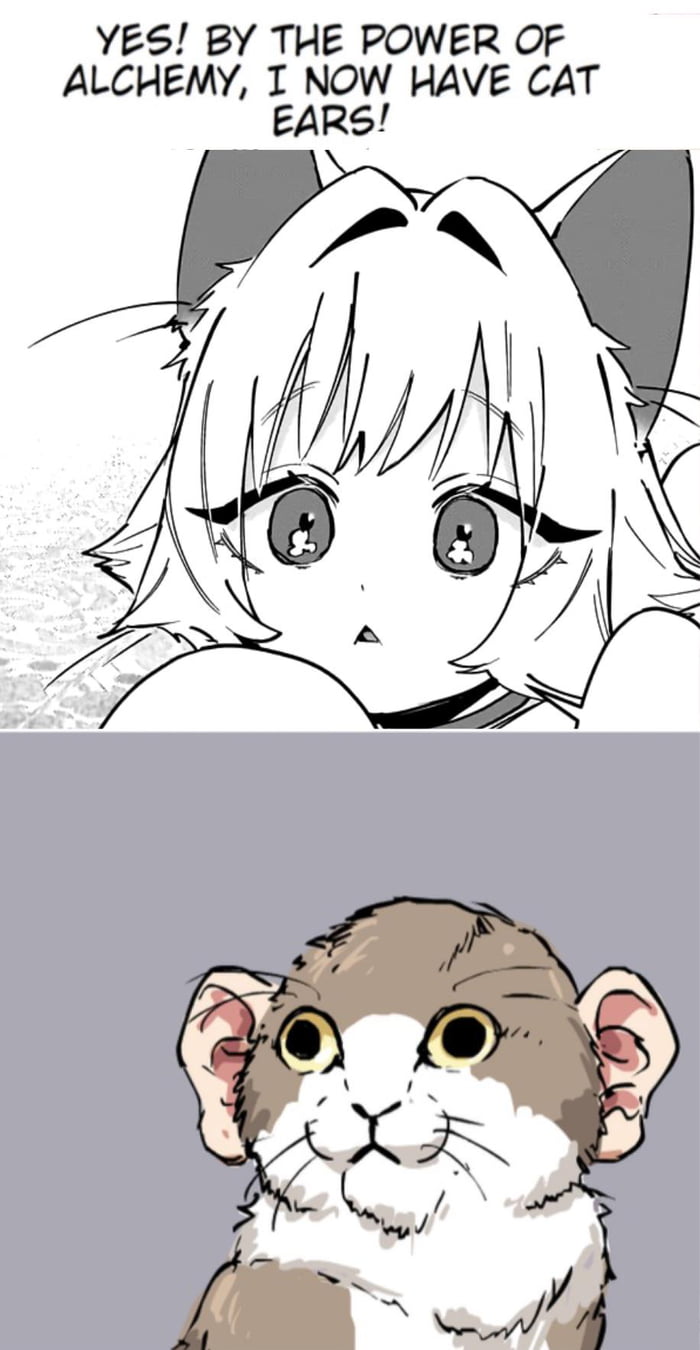 It had to come from somewhere - 9GAG