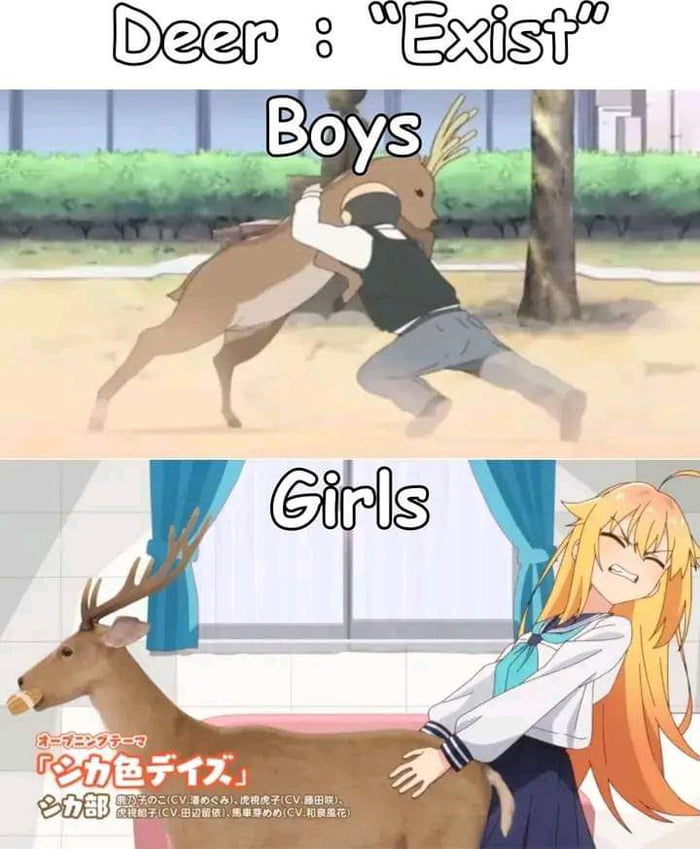 Oh deer - 9GAG